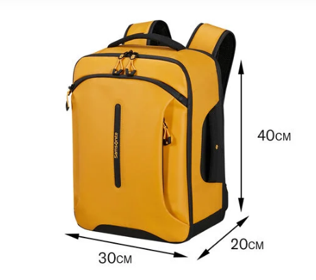 Ryanair & Aer Lingus Under Seat Cabin Bags and Backpacks 40x30x20cm ...